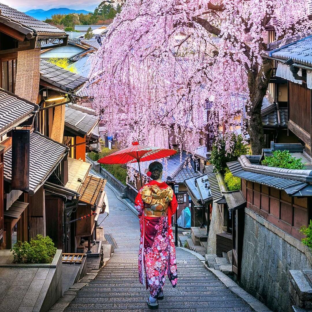 Japonya Sakura Turu 2023 - Kiraz Çiçekleri Zamanı Turları - Quo Vadis