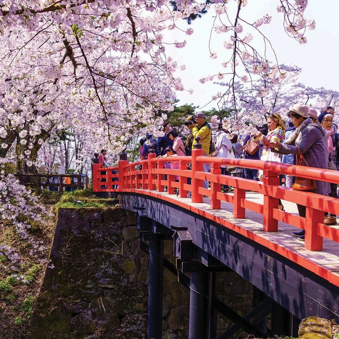 Japonya Sakura Turu 2023 - Kiraz Çiçekleri Zamanı Turları - Quo Vadis
